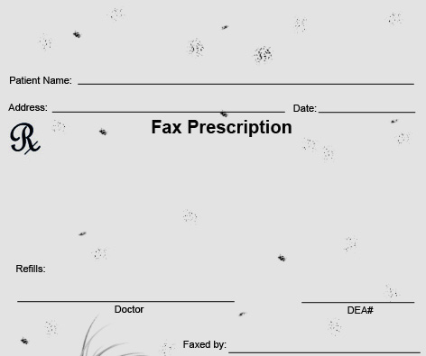 Pharmacist Prescription Data Entry Verification
